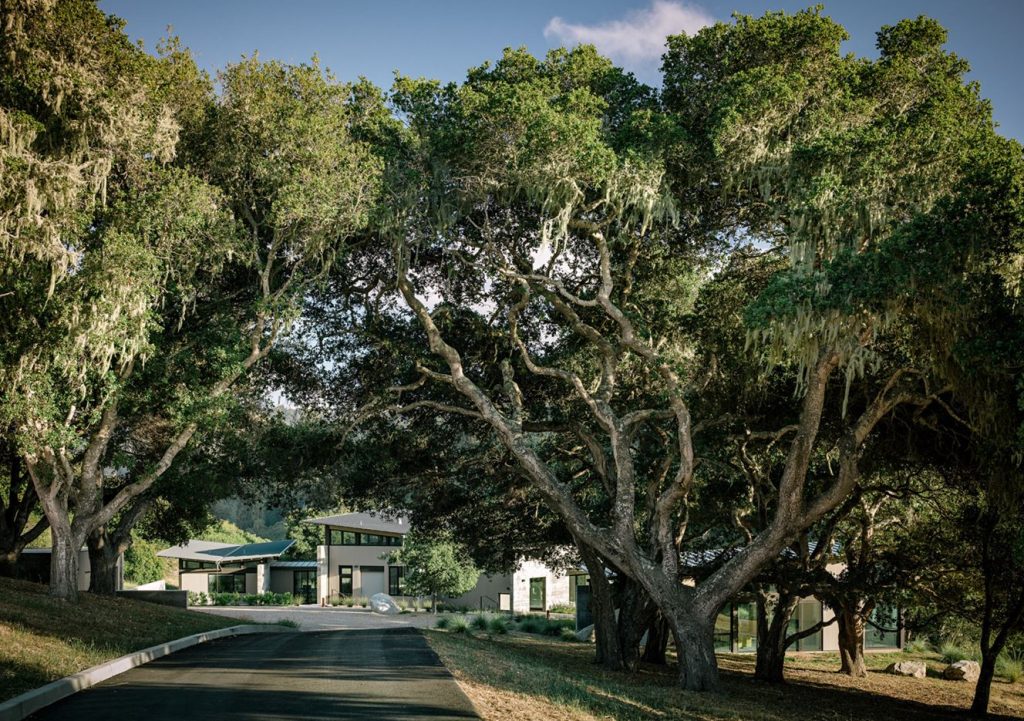 Butterfly House in Carmel, CA by Feldman Architecture - Sohomod Blog